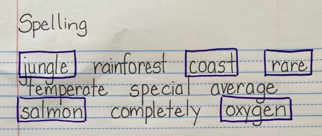 Spelling – Nelson Elementary Division 8