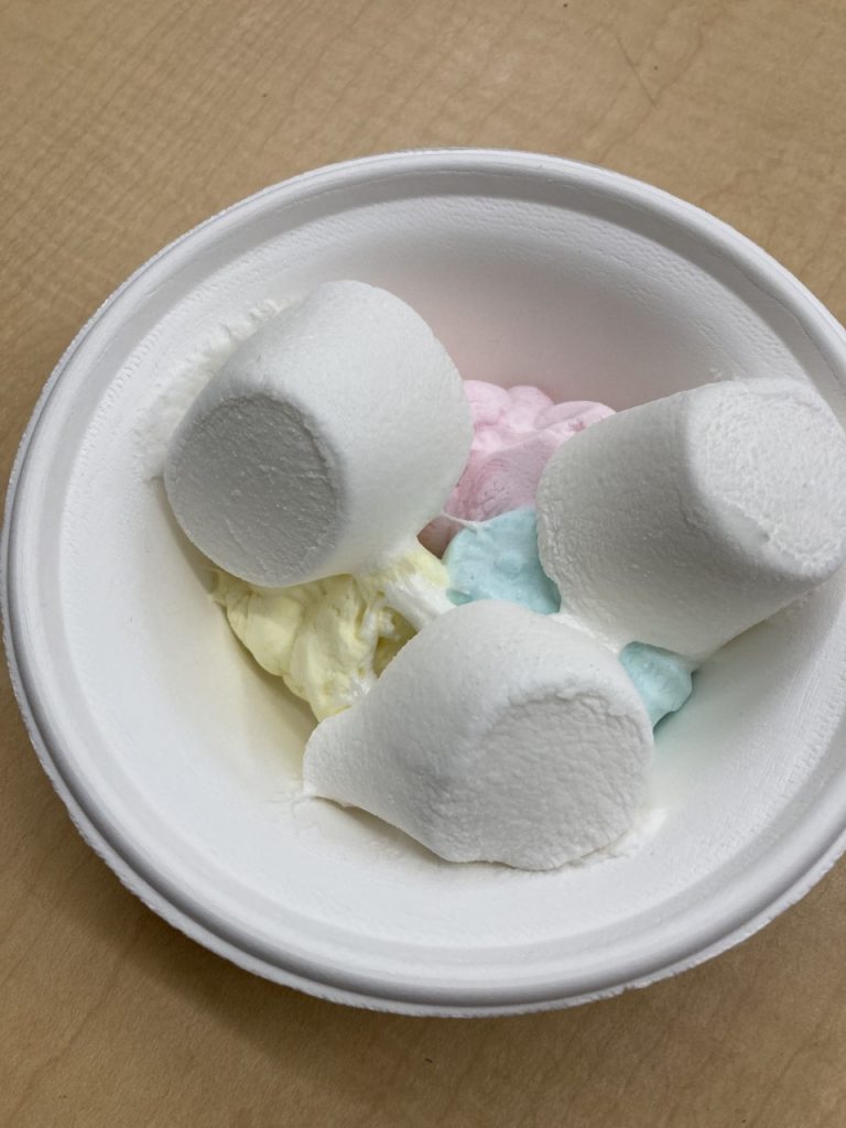 Physical and Chemical Changes: Metamorphic Marshmallows – What's New in ...